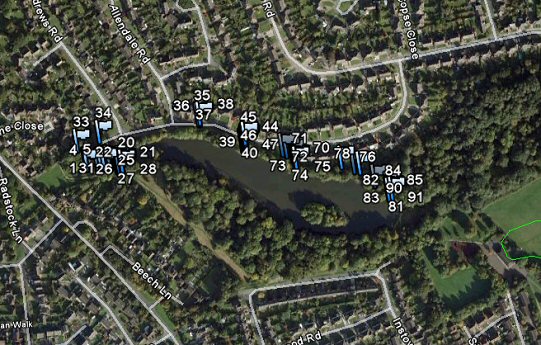 Earley Environmental Group - Bat Walk Results