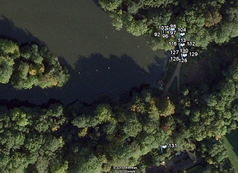 Earley Environmental Group - Bat Walk Results